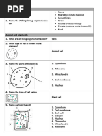 Year 7 Science Booklet | PDF | Gases | Liquids