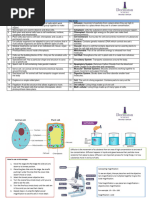 KS3 Science Revision Worksheets Cells | PDF | Vacuole | Cell (Biology)