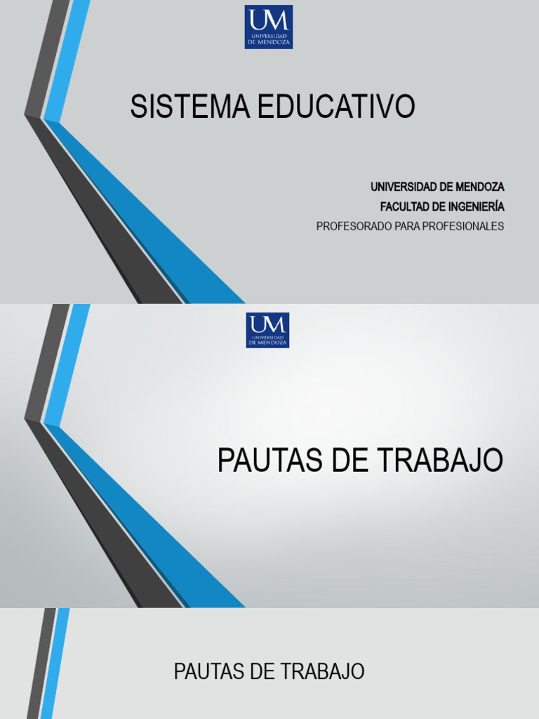 Pautas de Trabajo SE24 | PDF