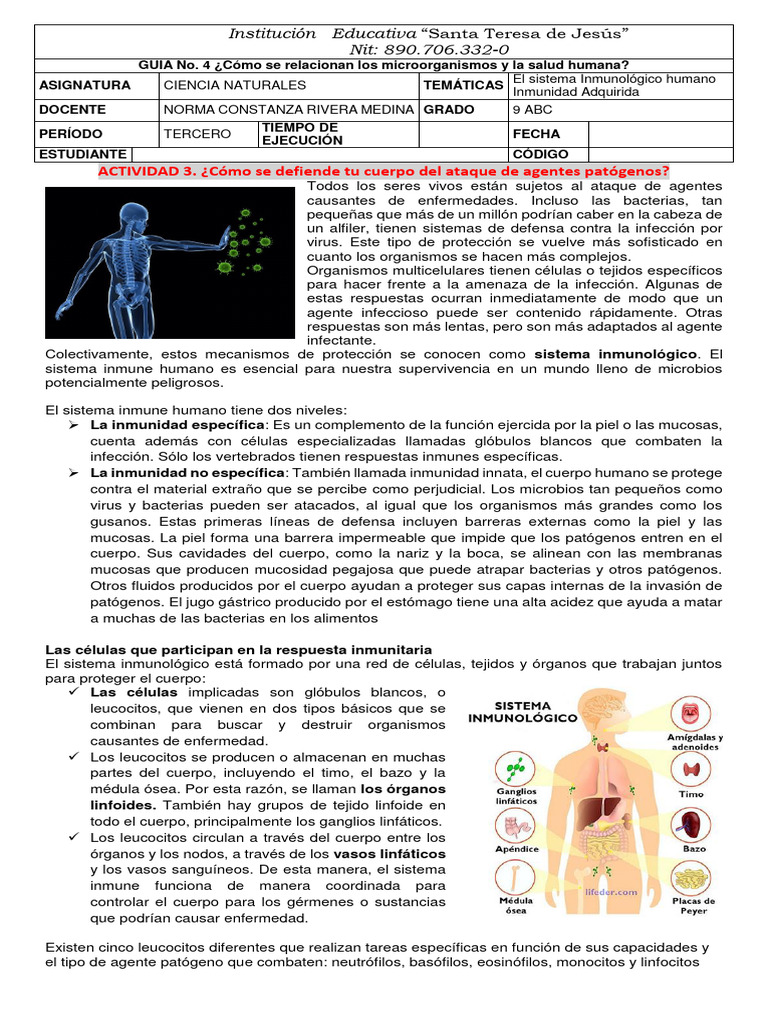 Guia 3 Act. 3 y 4 Inmunidad Adquirida | PDF | Sistema inmune | Leucocito