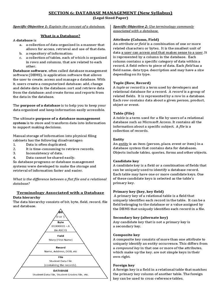 6.1-2 DATABASE MANAGEMENT (New) | PDF | Databases | Relational Database