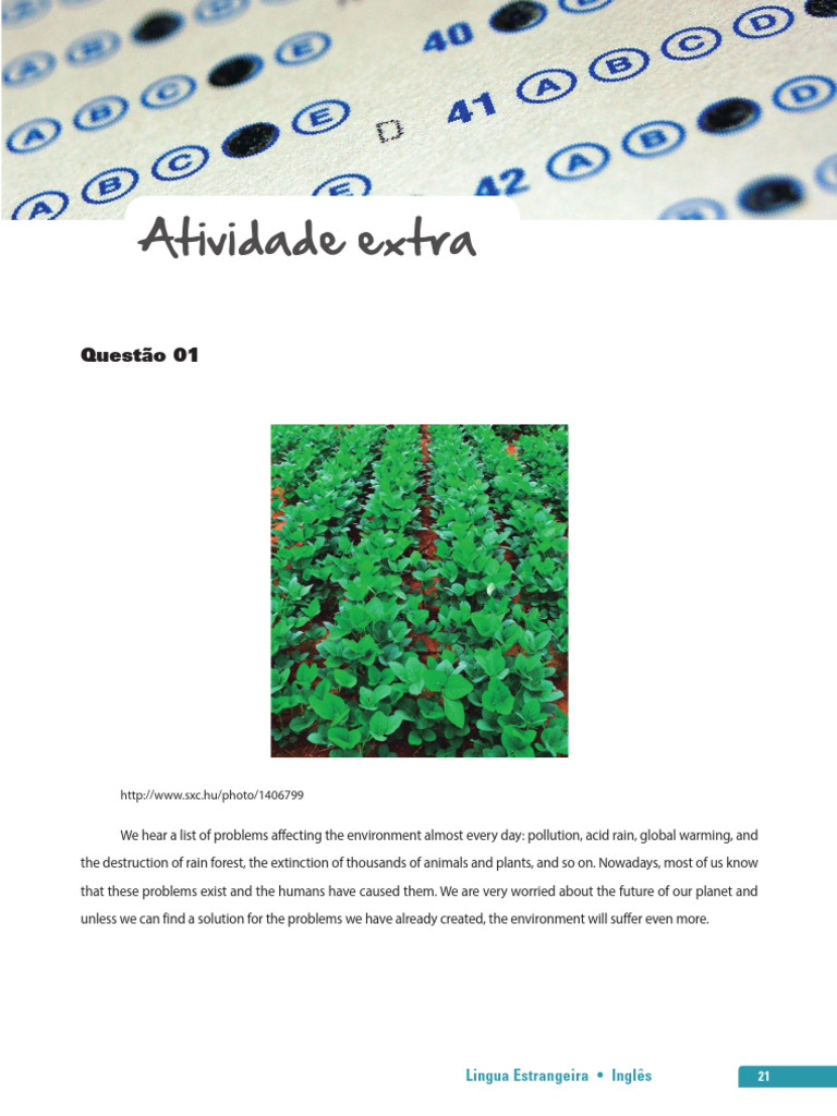 ingles primeiro ano | PDF | Environmental Issues | Natural Environment