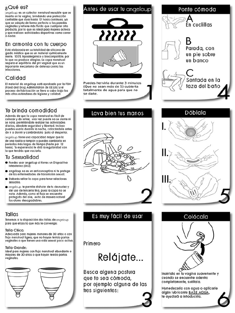 Instructivo Web Final | PDF