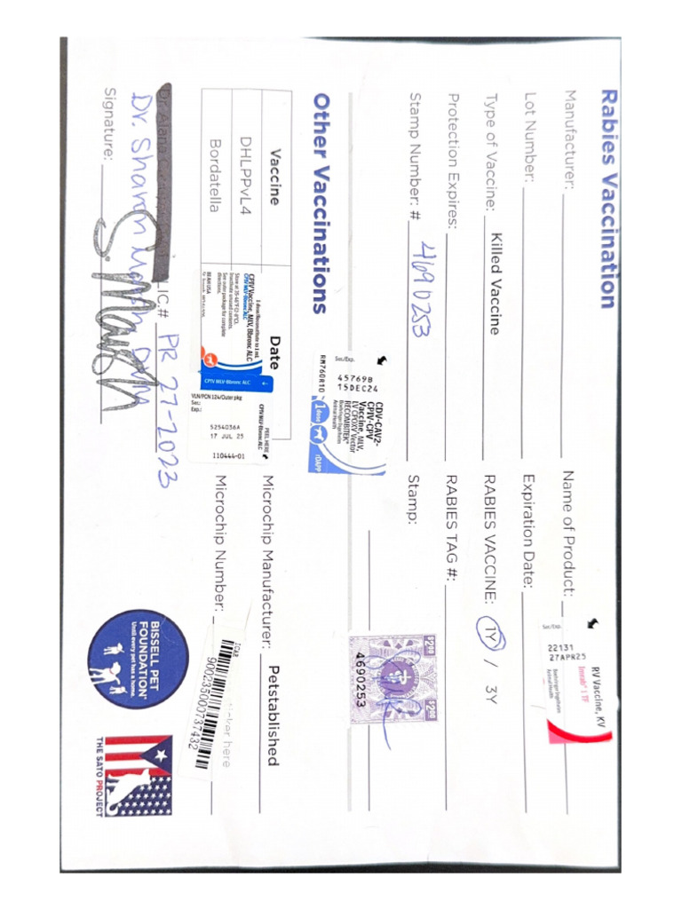 Rabies Vaccination | PDF