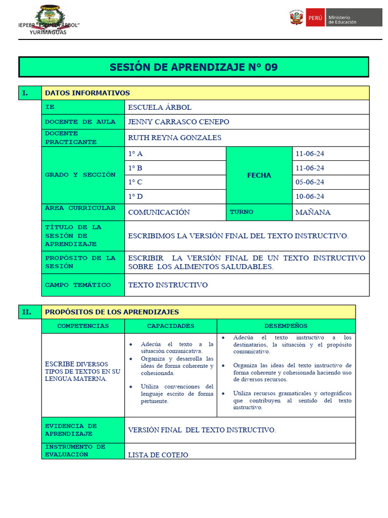 Escribimos La Versión Final Del Texto Instructivo-Ruth Reyna G | PDF ...