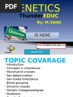 Shop Miss Angler | PDF