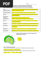Photosynthesis & Cellular Respiration Key | PDF
