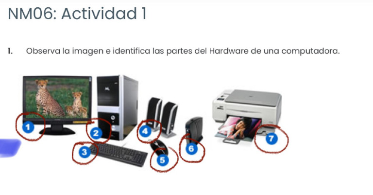 Observa la imagen e identifica las partes del Hardware de una ...