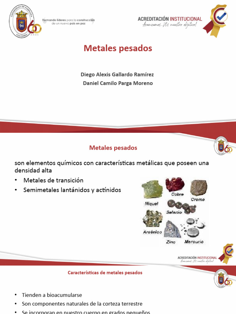 Exposicion Metales Pesados | PDF