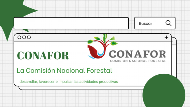CONAFOR | PDF