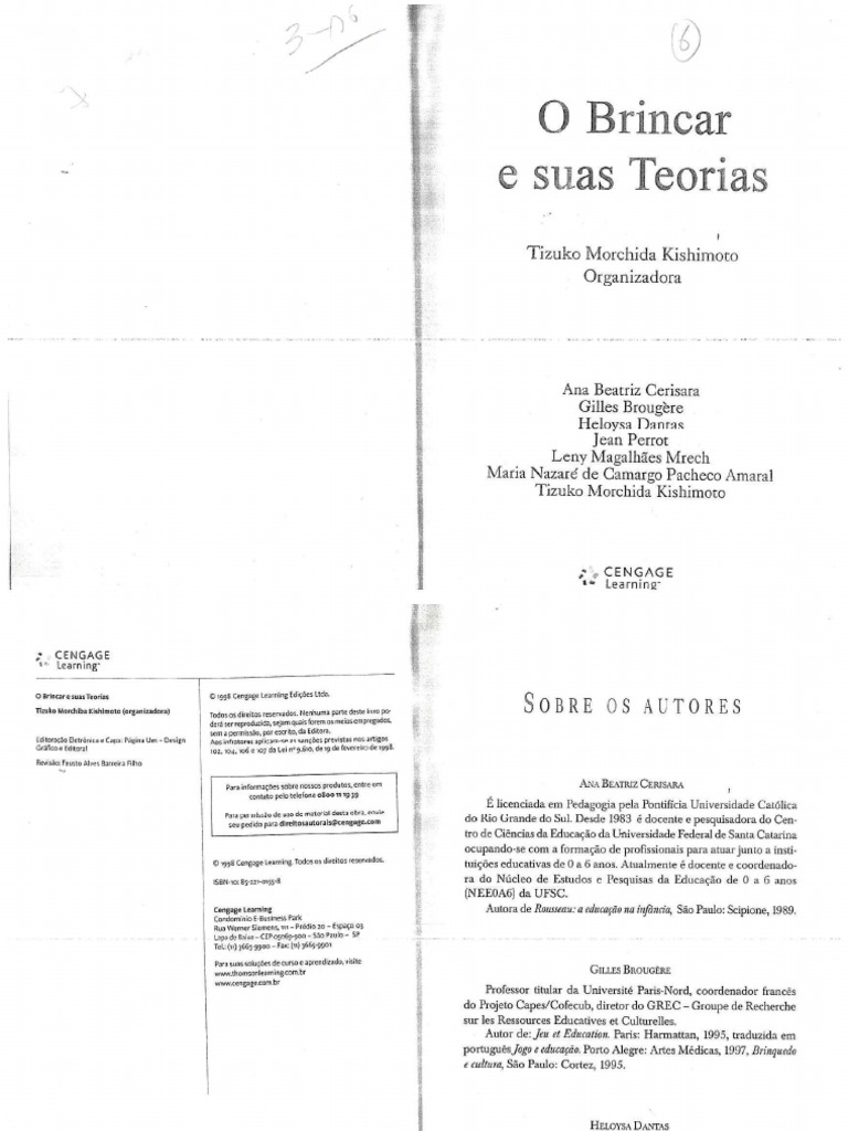 Imprimir O Brincar e Sua Teorias - Kishimoto.pdf Bruner | PDF