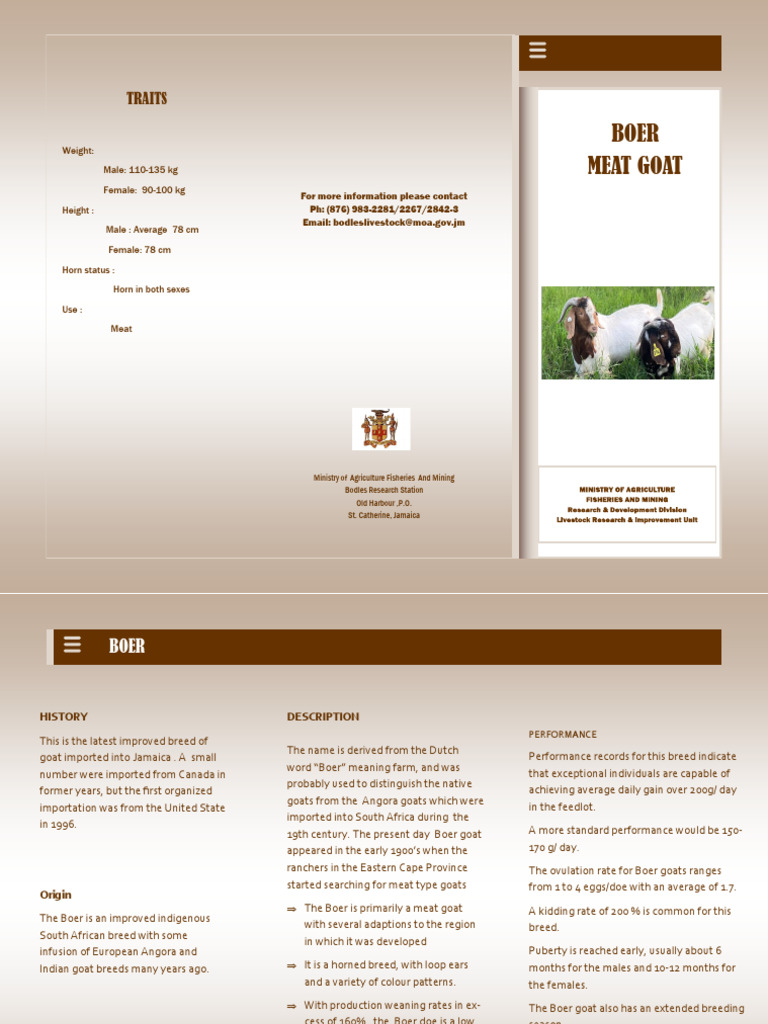 Ap-Boer Goat Brochure.. | PDF | Goat | Zoology