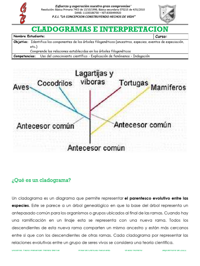 Taller Ciencias Naturales Noveno 14 Cladogramas e Interpretacion | PDF ...