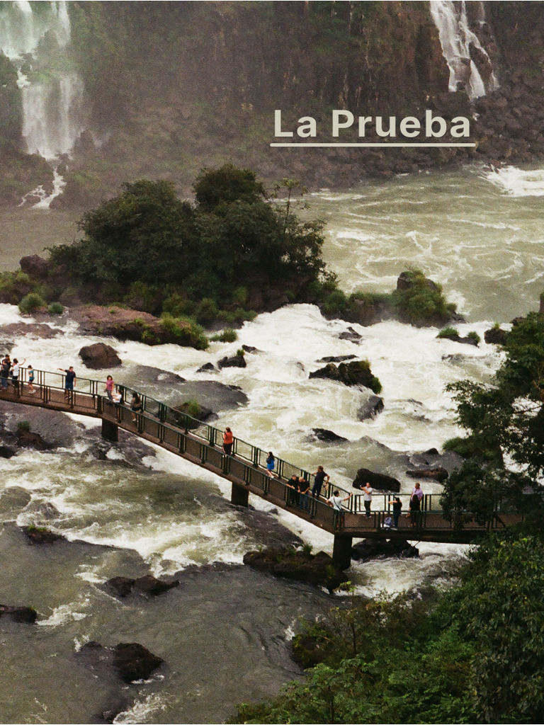 La Prueba Digital 2024 | PDF