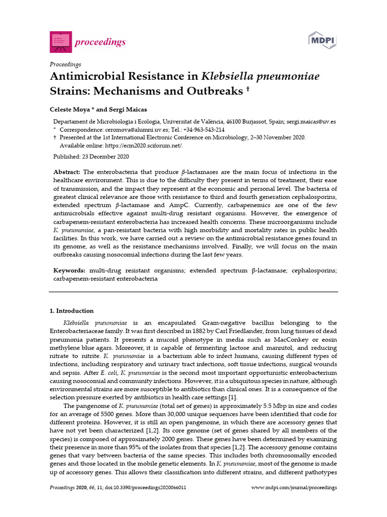 Klebsiella Pneumoniae Resistance Anti Bactery | PDF | Beta Lactamase | Antimicrobial Resistance