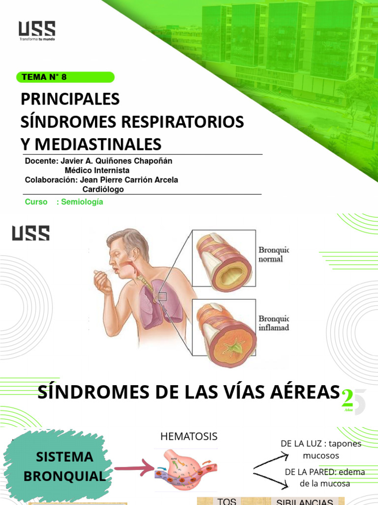 Tema 8. Pricipales Síndromes Respiratorios y Mediastínicos | PDF | Tos ...