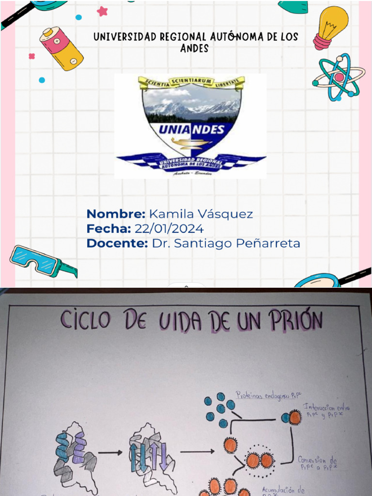 Ciclo de Vida de Un Prion | PDF