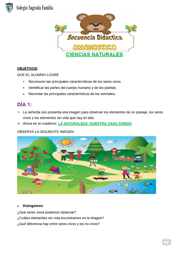 Seres Vivos y No Vivos para Niños | PDF | Plantas