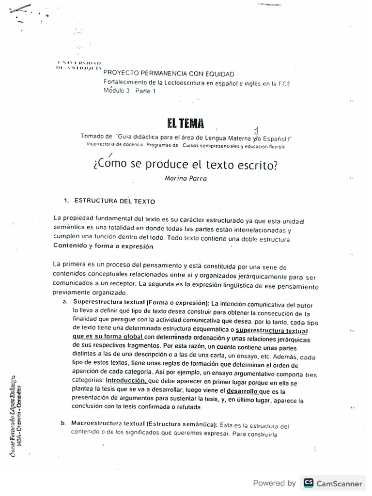EL TEMA Cómo Se Produce El Texto Escrito | PDF