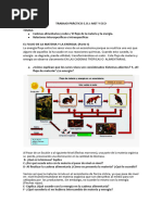 Redes Tróficas: Flujos de Materia Y de Energía en La Naturaleza | PDF ...