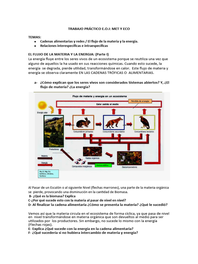 Redes Alimenticias en Ecosistemas | PDF | Ecología de sistemas | Ecología