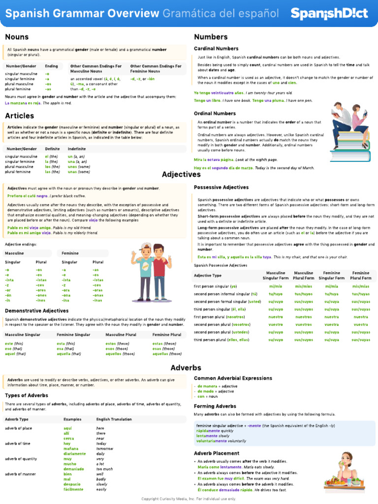 Spanish Grammar Overview | PDF | Grammatical Gender | Verb