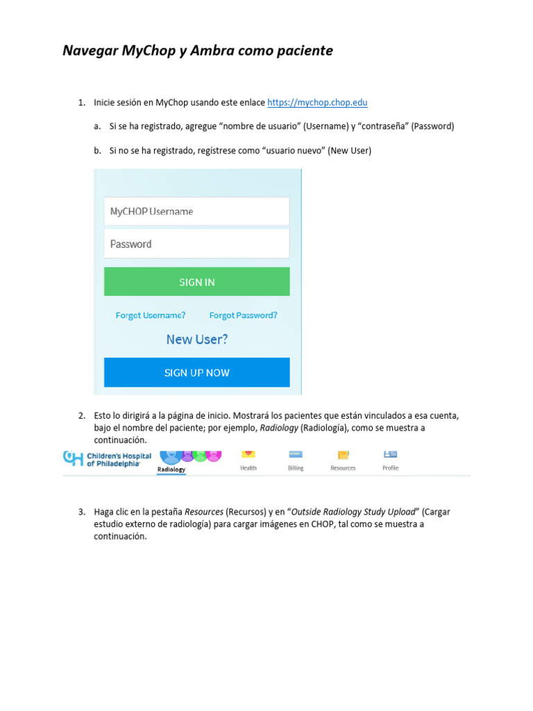 Ambra Es | PDF | Contraseña | Software