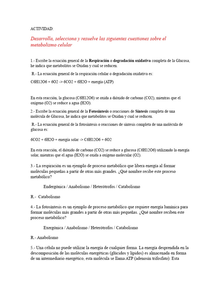 TAREA 6 METABOLISMO Michelle Rodríguez | PDF | Trifosfato de adenosina | Fermentación