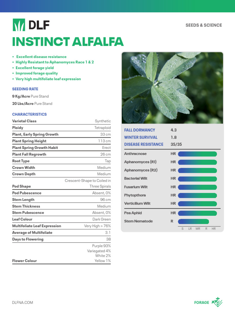 DLF Tech Sheet Instinct Alfalfa 09272022 2 | PDF | Legume | Alfalfa