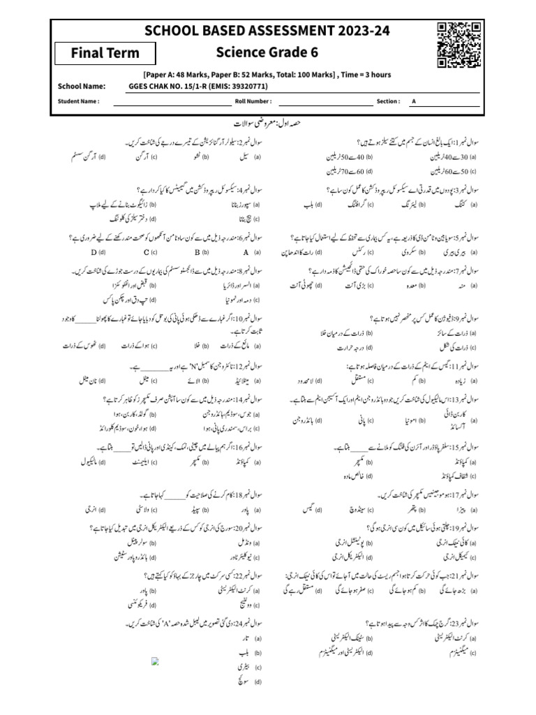 Final Paper Mcqs - Pec Ibs 2024 | PDF