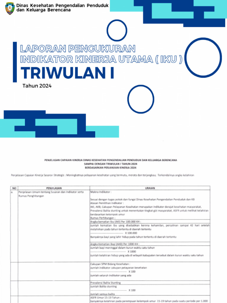 Capaian Kinerja DKPPKB TW 1 2024 | PDF