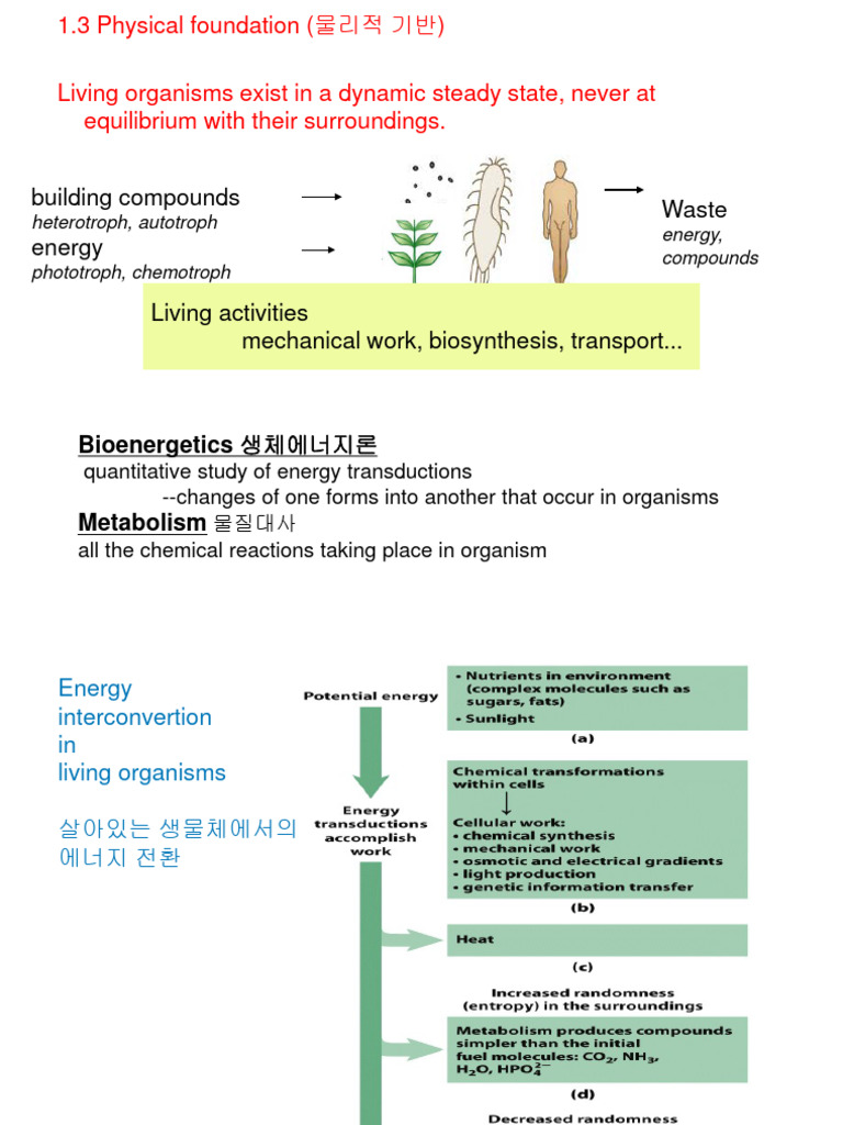 한글자료 LEHNINGER PRINCIPLES OF BIOCHEMISTRY 6th Edition CHAPTER 2 | PDF