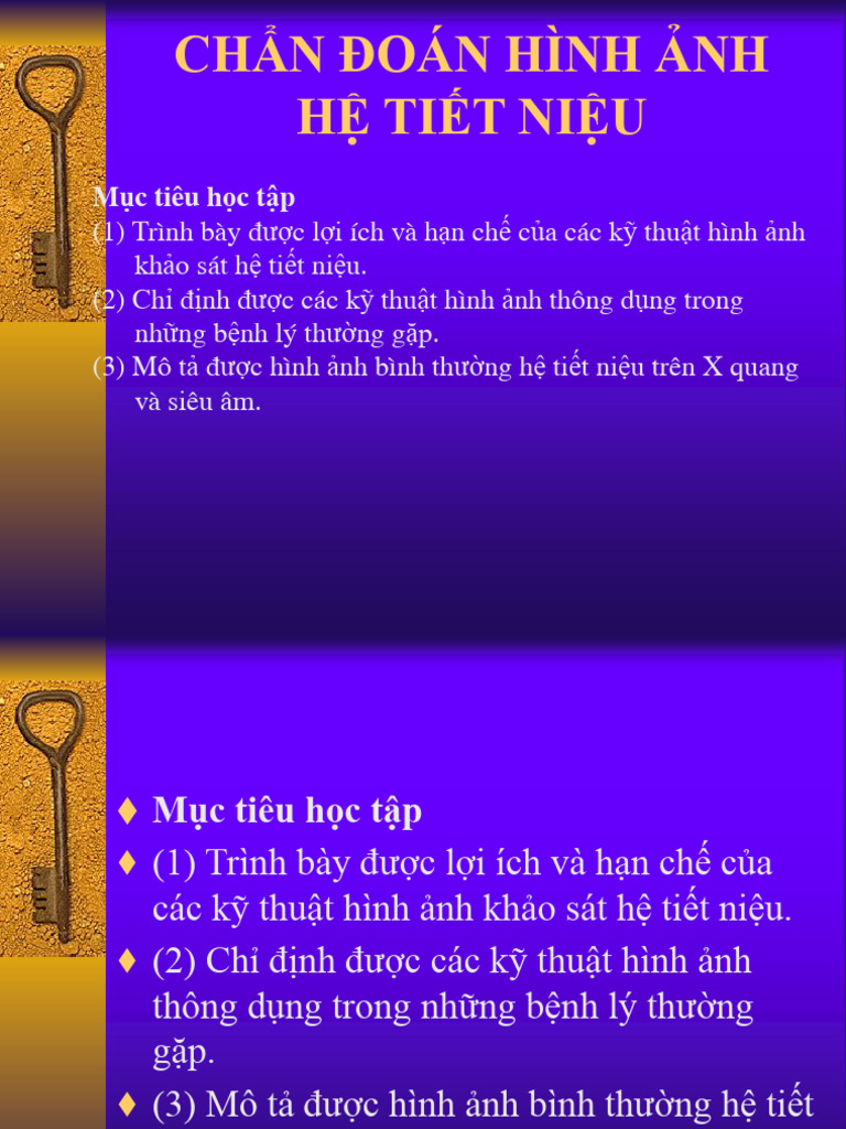 Các PP CDHA Hệ Tiết Niệu | PDF