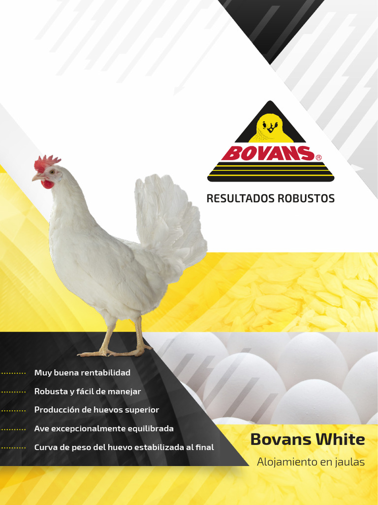 Bovans White CS Product Leaflet Cage L1211-1a-ES | PDF | Zoología | Aves