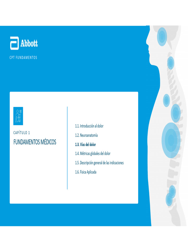 Clase 3 Vias Del Dolor Final Pdf Dolor Cerebro