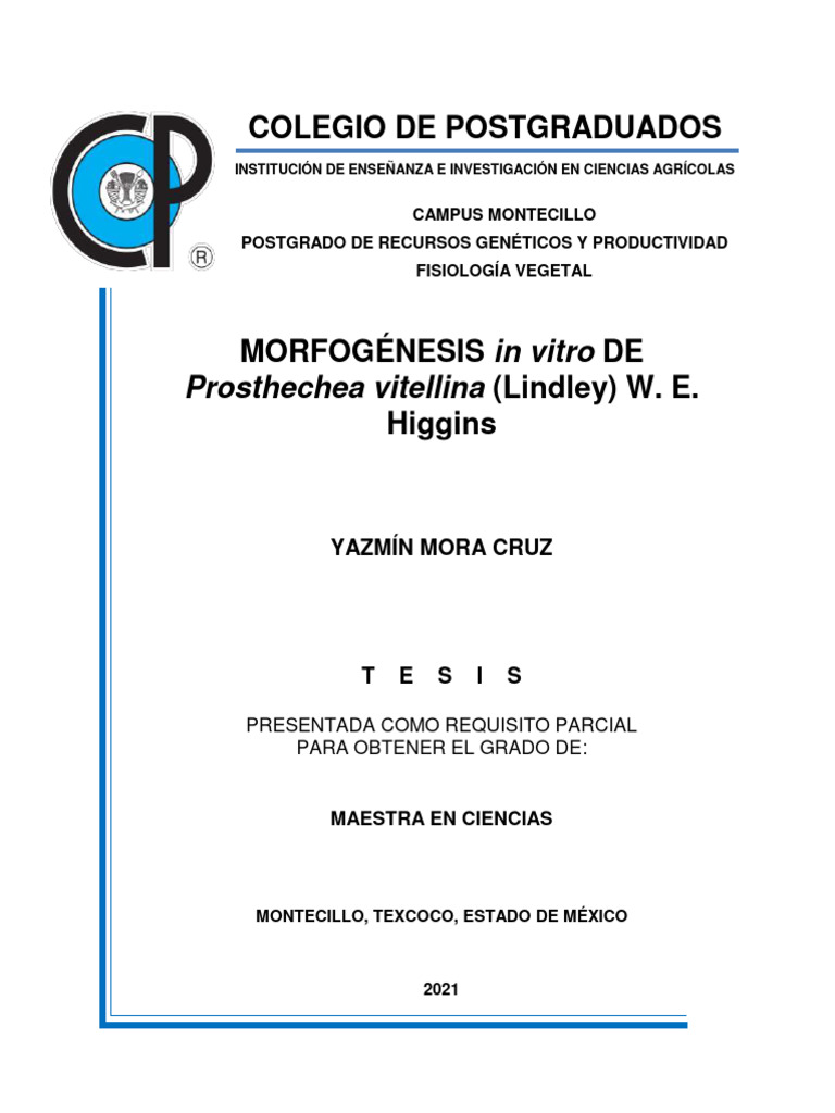 Mora Cruz Yazmin MC Fisiologia Vegetal 2021 | PDF | Flores | Hoja