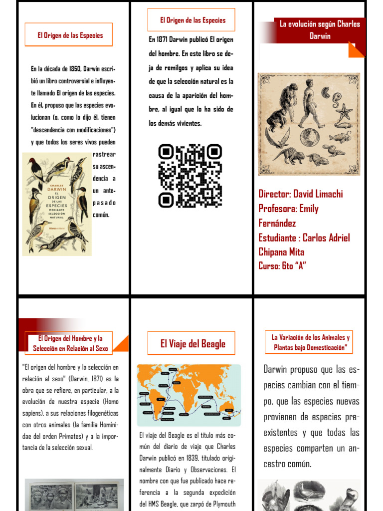 Triptico Sobre La Evolucion Adr | PDF | Charles Darwin | En el origen ...