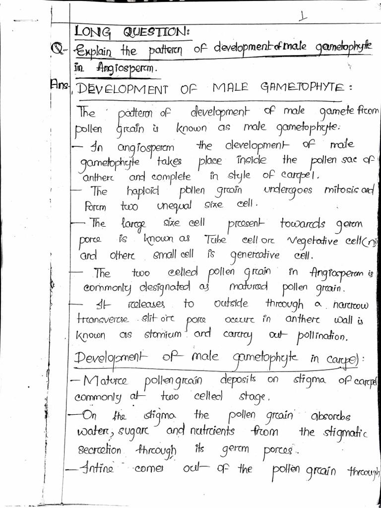 Botany Notes Class 12 of Sexual Reproduction | PDF