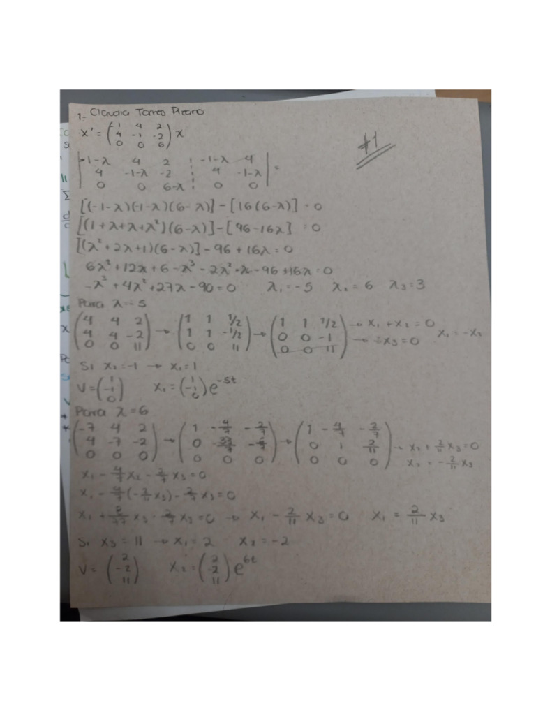 ExF Torres Pizano Claudia | PDF