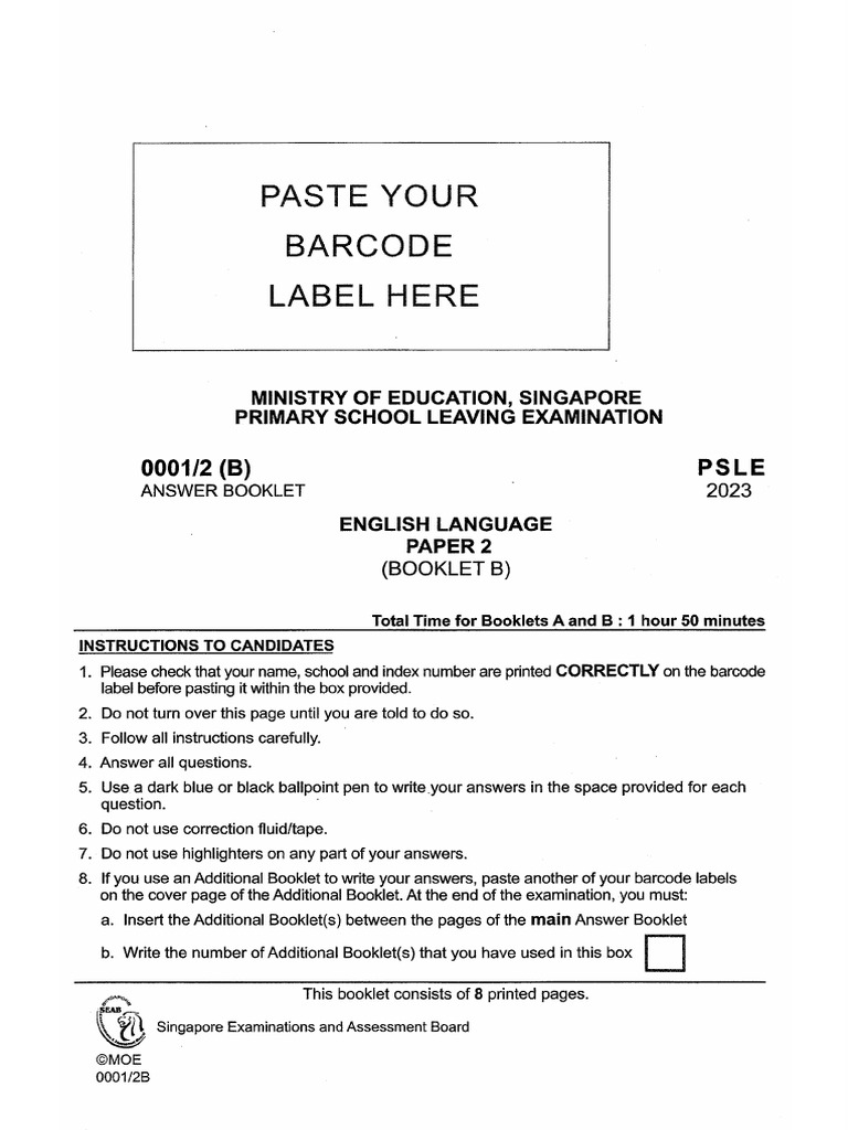 2023 PSLE English Language - Paper 2 (B) | PDF
