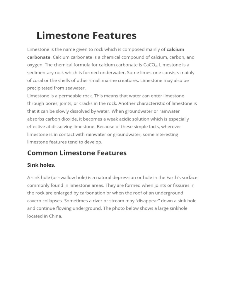 Geo Notes | PDF | Coral Reef | Coral