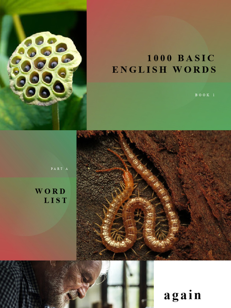 1000 Basic English Words Unit 4 | PDF | Verb | Adjective