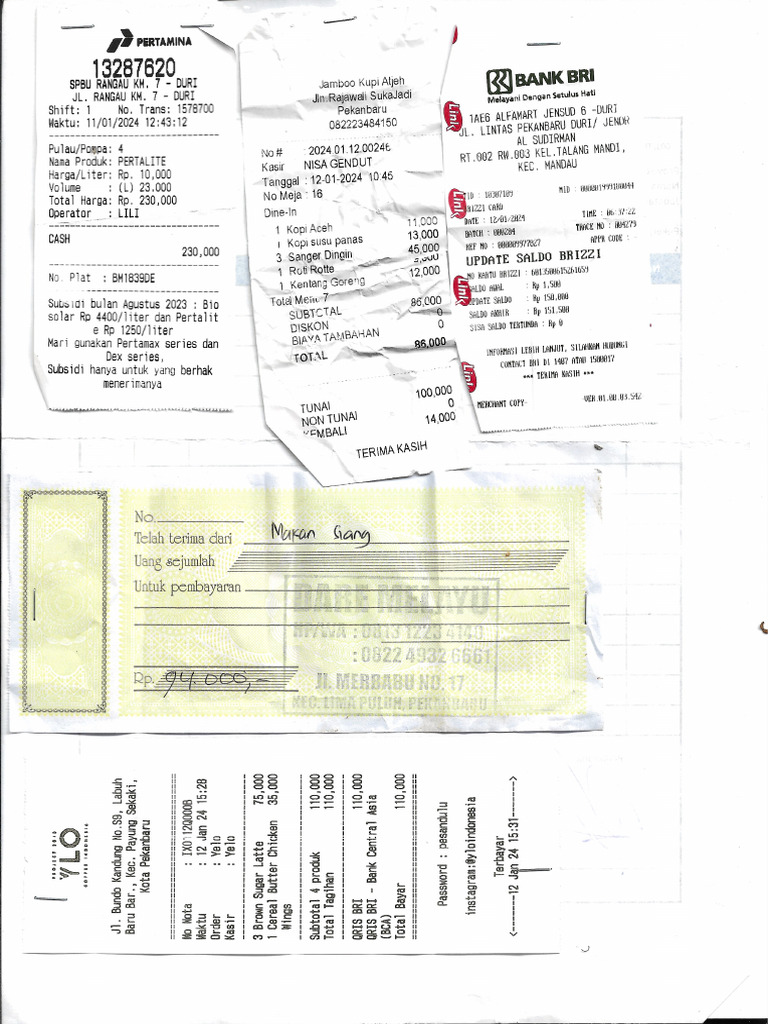 Receipt 2024-01-15 120324 | PDF