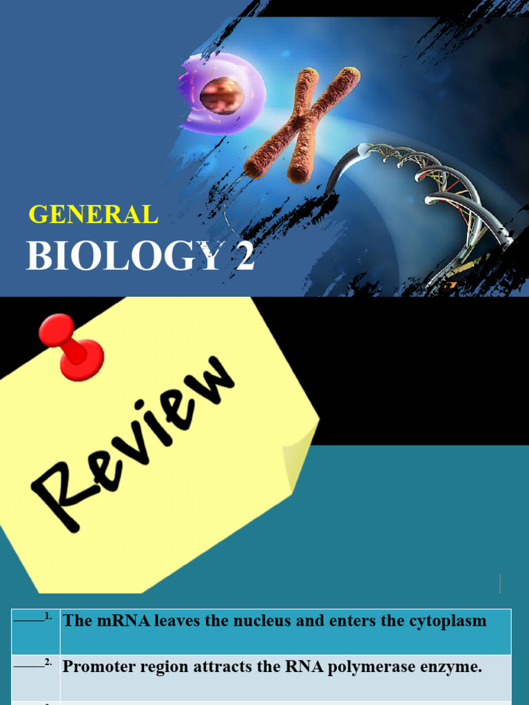 Gen Bio 2 - Translation Part 1 23-24 | PDF | Translation (Biology ...