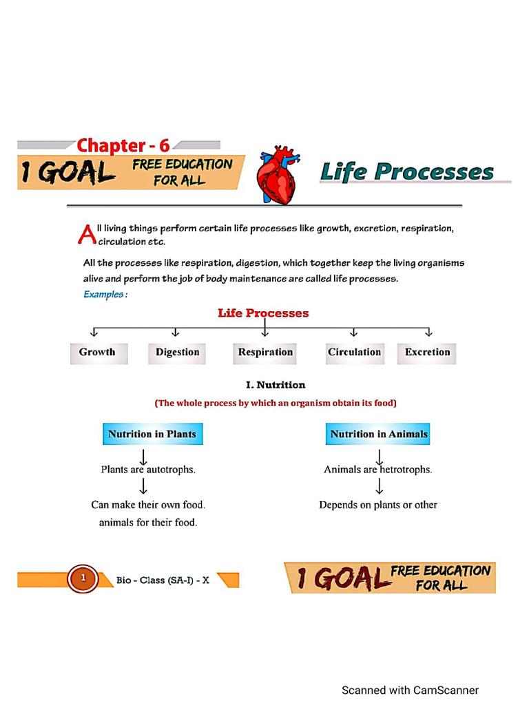 Life Process and Control and Coordination | PDF