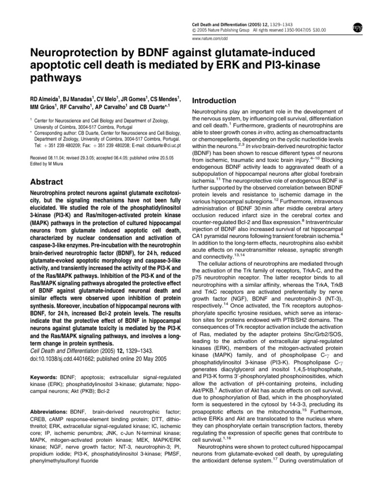 Neuroprotection by BDNF Against Glutamate-Induced Apoptotic Cell Death ...