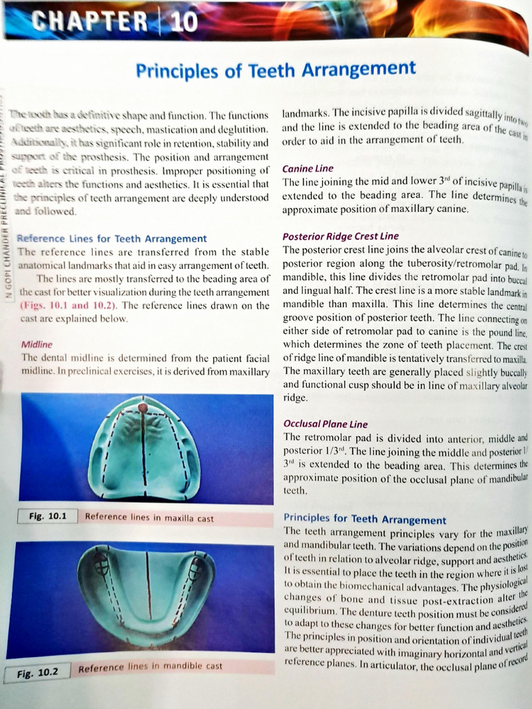 Principles of Teeth Arrangement | PDF