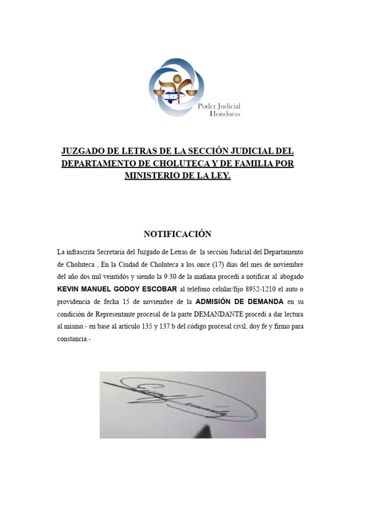 Juzgado de Letras de La Sección Judicial Del Departamento de Choluteca ...