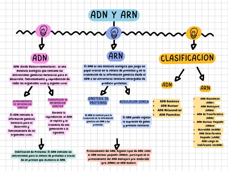 Arnm | PDF | Rna | Adn
