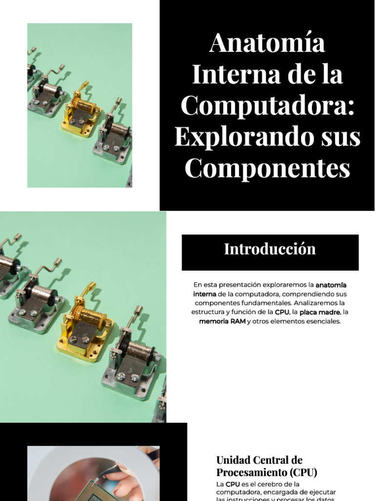 Anatomía Interna de la Computadora | PDF